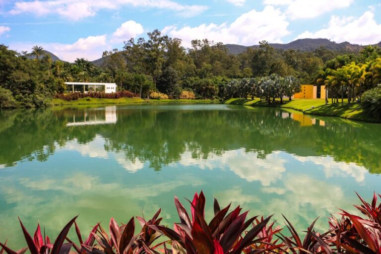 Inhotim - 9 Dicas Para Aproveitar ao Máximo Esse Lugar Incrível no Brasil